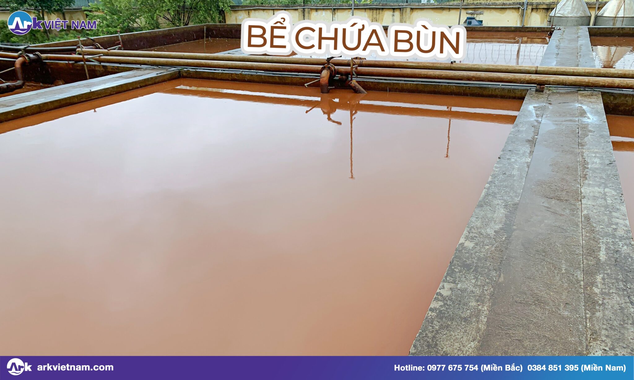 Sludge storage tank and sludge compaction tank in wastewater treatment